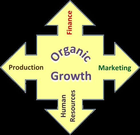 REVA 2024 - NARMADA COLLEGE OF MANAGEMENT